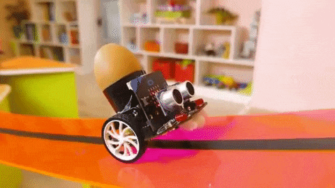 DT robot Maqueen Micro Python Microbit